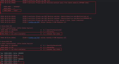 Null Value Returned When Querying DICOM Worklist With A Private Tag General Orthanc Users