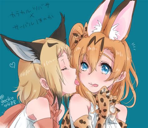 Gecko4488 Caracal Kemono Friends Kira Tsubasa Kousaka Honoka