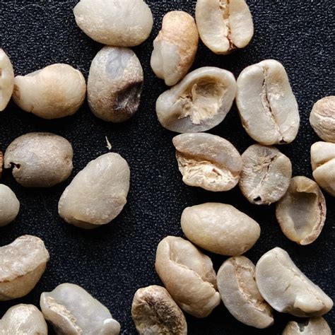 Say Good Bye To Coffee Defects Coffee One Tenth Coffee