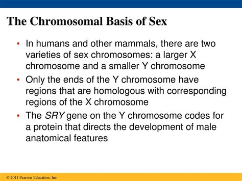 The Chromosomal Basis Of Inheritance Ppt Download
