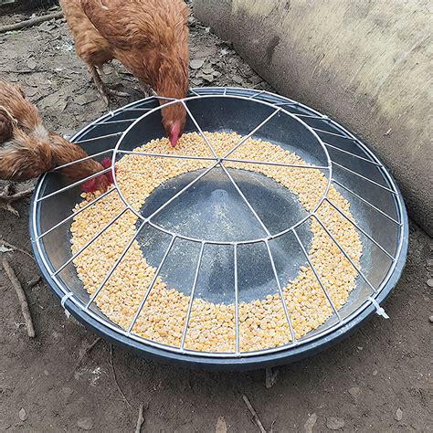 Large Capacity Round Poultry Feed Trough Matorioo