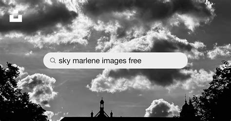 Sky Marlene Images Free Pictures Download Free Images On Unsplash