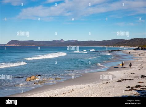 Two Surfers Walking Along Friendly Beaches In Freycinet National Park