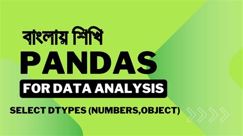 Select Datatypes In Pandas With Lectdtypes Python Data Analysis In Bangla 10 Youtube