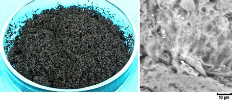 Chemically Expanded Aminofluoride Of Graphite The Product Of C2f∙xclf3 Download Scientific