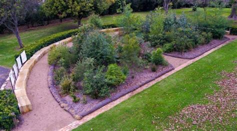 Small But Mighty Tiny Forests Hort Journal Australia