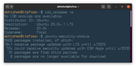 Linux Jargon Buster What Is A Long Term Support LTS Release What Is Ubuntu LTS WIREDGORILLA