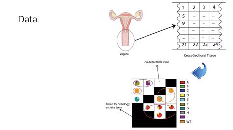 Health Data Sciencepptx