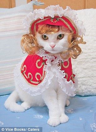 Hello Kitty The Fashion Felines Who Will Make Your Hair Stand On End