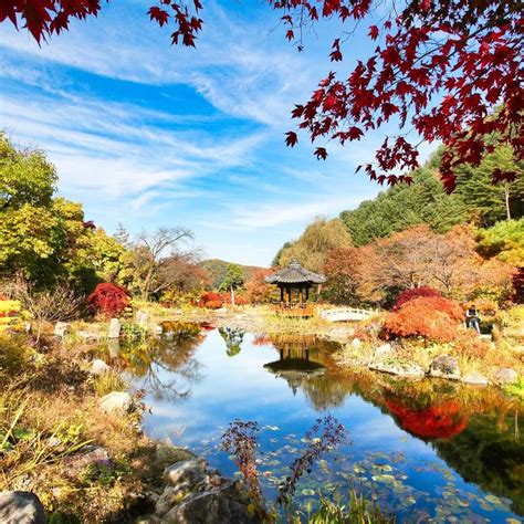 Calm Morning Of The Night Garden