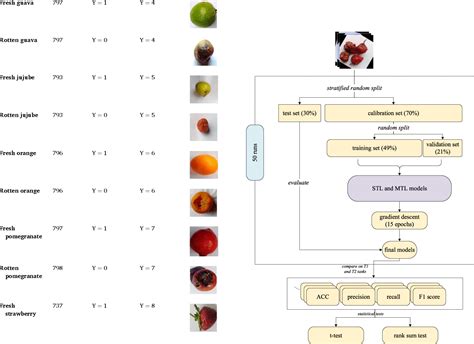 Figure 1 From Fruit Freshness Detection Based On Multi Task