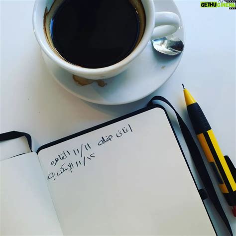 Hani Adel Wiki Biography Age Gallery Spouse And More