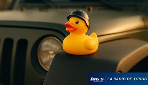 Curiosa Tradición De “patos Jeep” Una Tendencia Global Llegó A Uruguay