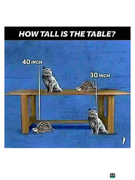 Interesting Math Pdf
