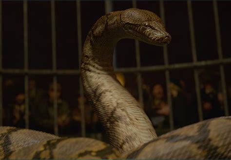 Maledictus Official Harry Potter Encyclopedia