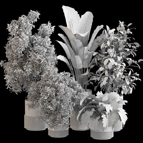 Indoor Plant Set 0154 3d Model By Mojdeh Feyzi