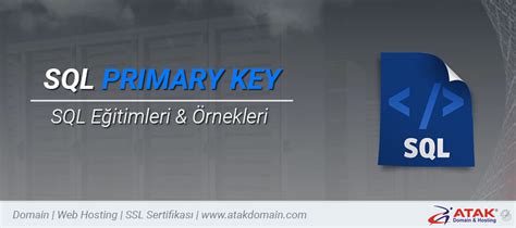 sql primary key nedir kullanımı nasıldır Örneklerle anlatım atak domain