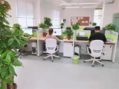 Wholesale 5a Original Logo Designer Mens Shoes Famous Brands Womens