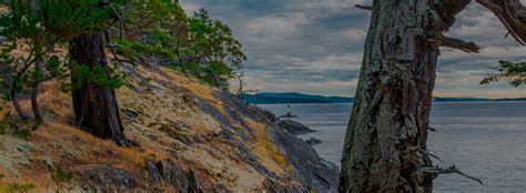 David M Twining Retired Partner At Twining Short And Haakonson