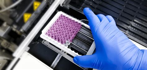 Spotlight Survey Considerations Around Validation Of Methods For