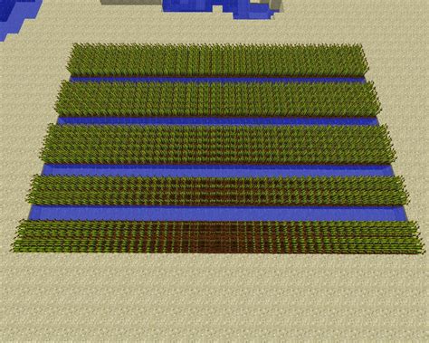 Minecraft Wheat Farm Layout