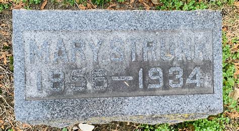 Mary Katharine Sandrock Strunk 1856 1934 Find A Grave Memorial