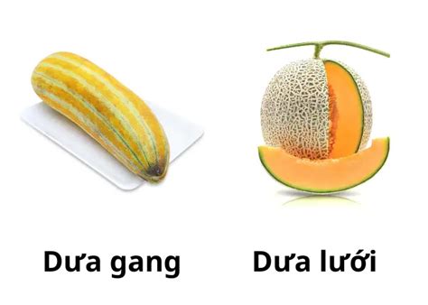 Dưa Lưới Và Dưa Gang Có Giống Nhau Không