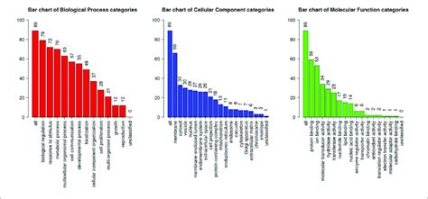 Over Representation Analysis Ora Using Web Based Gene Set Analysis