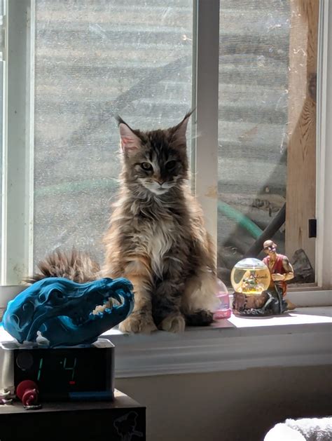 The Evil Album On Imgur