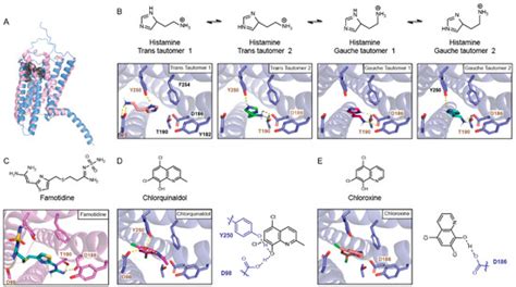 Biosensors Special Issue Genetically Encoded Small Molecule