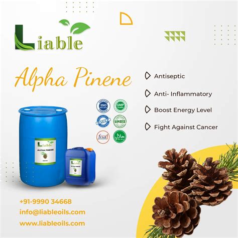 Alpha Pinene Oil 25kg At ₹ 350 Kg In Noida Id 2851880220188