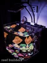 Hydra 26 Review And Comparison With Vega Led Reef Builders The Reef