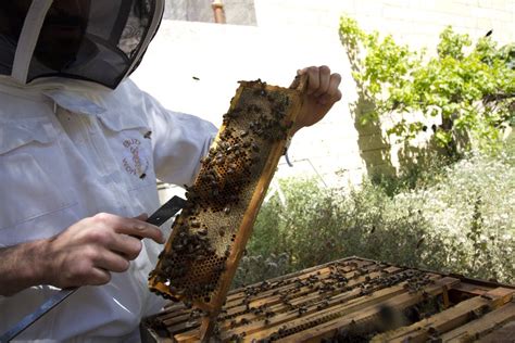 Bjorn Bonello Urban Planning Consultancy Home