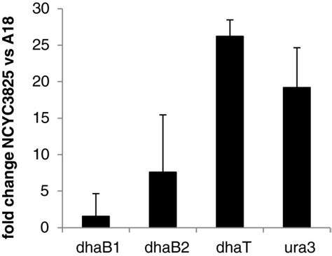 Heterologous Genes Expression Level Heterologous Genes Expression