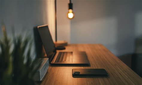 Chroococcus Characteristics Classification And Diagram Rajus Biology