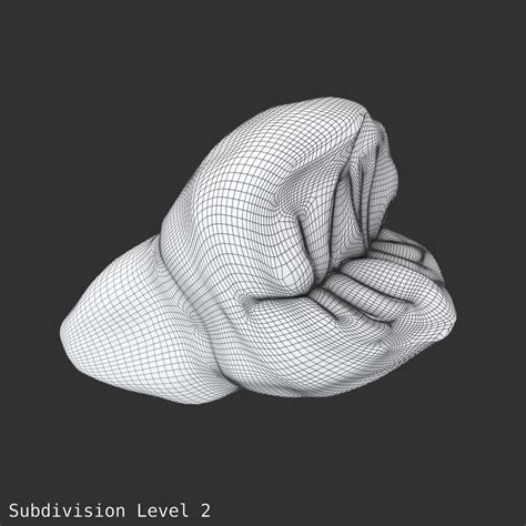 Upper Second Left Bicuspid 3d Model 49 Obj Blend Unknown Free3d