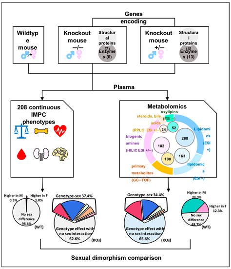 Sexual Dimorphism Of The Mouse Plasma Metabolome Is Associated With