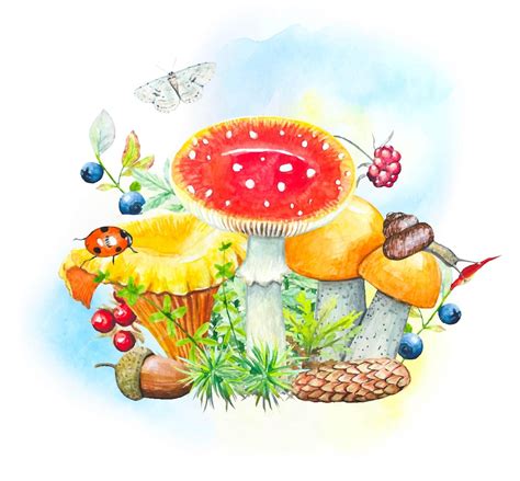Premium Vector Forest Composition With Mushrooms Herbs Berries