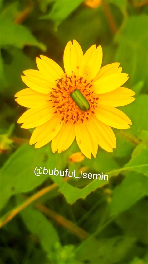 Relax God Is In Control He Is For You And Hes Working It All Out In