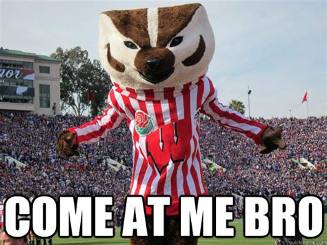 Goldy Gopher Come At Me Bro Bucky Badger Quickmeme
