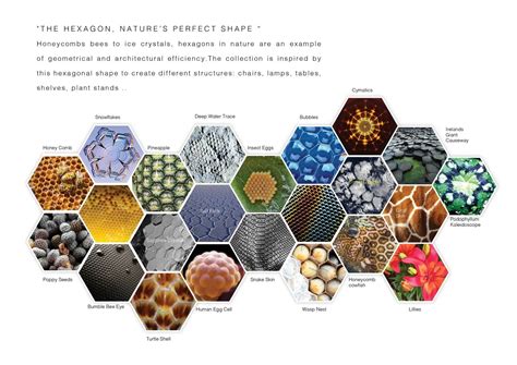 How To Create A Spring Homeschool Science Hexagon Patterns In Nature Math Unit Study How To Create A Spring Homeschool Science Hexagon Patterns In Nature Math Unit Study