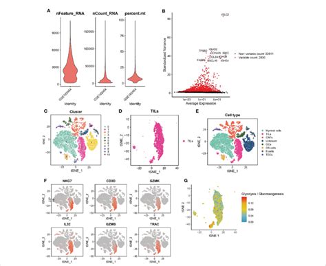 Quality Control Of Cells And The Single Cell Rna Sequencing To Identify