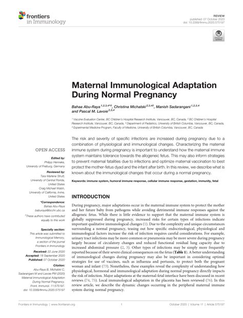 Pdf Maternal Immunological Adaptation During Normal Pregnancy