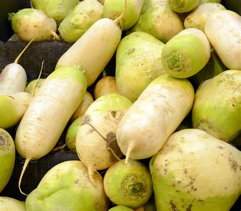 Daikon Radish Green Meat Seeds
