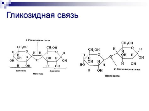Олигосахариды и полисахариды - online presentation