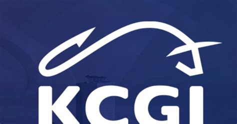 국세청 Kcgi 특별 세무조사 강성부 개인 혐의 본다는 설도