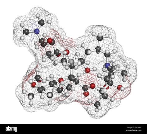 Azithromycin Antibiotic Drug Macrolide Class Chemical Structure