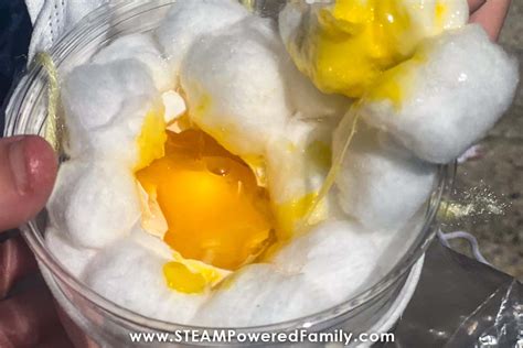 Egg Drop Project Ideas Without Breaking