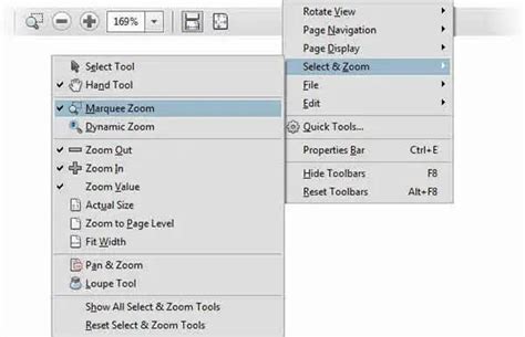 Customizing The Acrobat Xi Interface