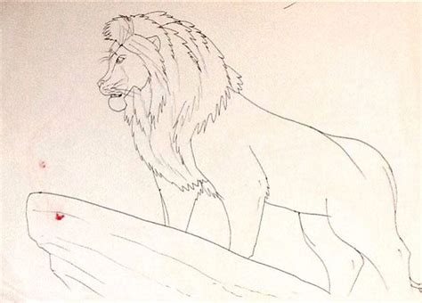 King Of Pride Rock By Aericmon On Deviantart